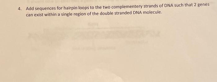 Solved 4. Add sequences for hairpin loops to the two | Chegg.com