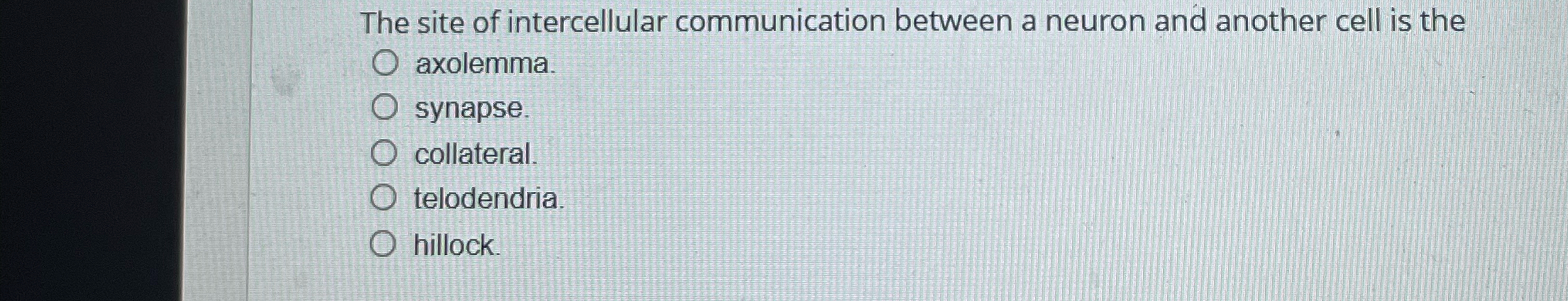 Solved The site of intercellular communication between a | Chegg.com
