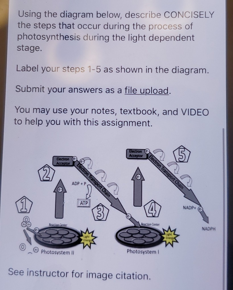 Solved Using the diagram below, describe CONCISELY the steps | Chegg.com