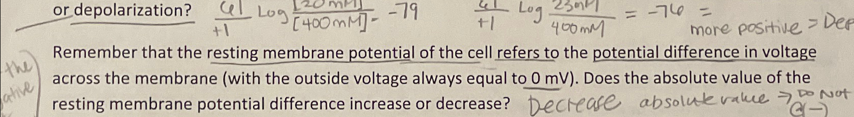 Solved or depolarization?Remember that the resting membrane | Chegg.com
