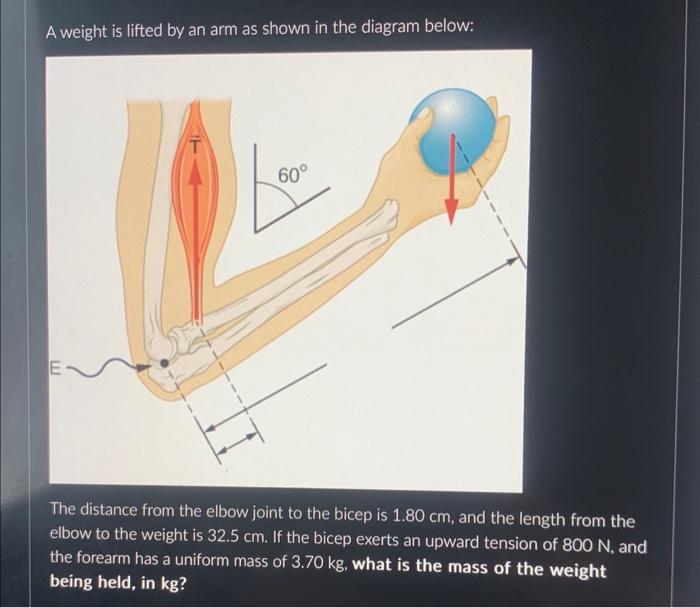Solved A weight is lifted by an arm as shown in the diagram | Chegg.com
