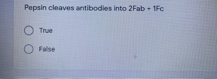 Solved Pepsin cleaves antibodies into 2 Fab + 1Fc True False | Chegg.com