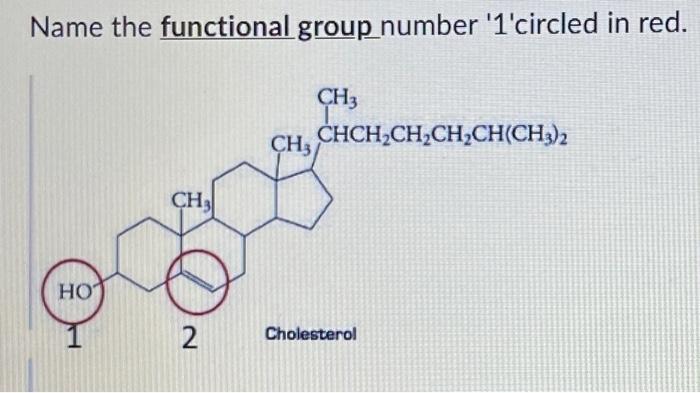 Solved Name the functional group number '1'circled in red. | Chegg.com