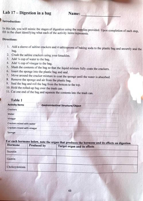 Solved Lab 17 - Digestion in a bag Food keep the body alive | Chegg.com