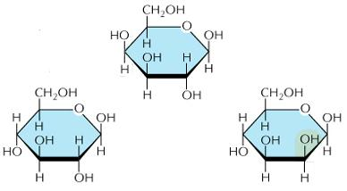 Solved Marks: 1This is an image of three monosaccharides. | Chegg.com