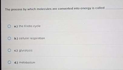 Solved The process by which molecules are converted into | Chegg.com