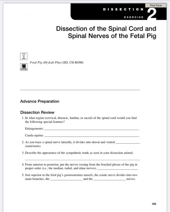 Solved Print Form DISSECTION EXERCISE 2 Dissection of the | Chegg.com