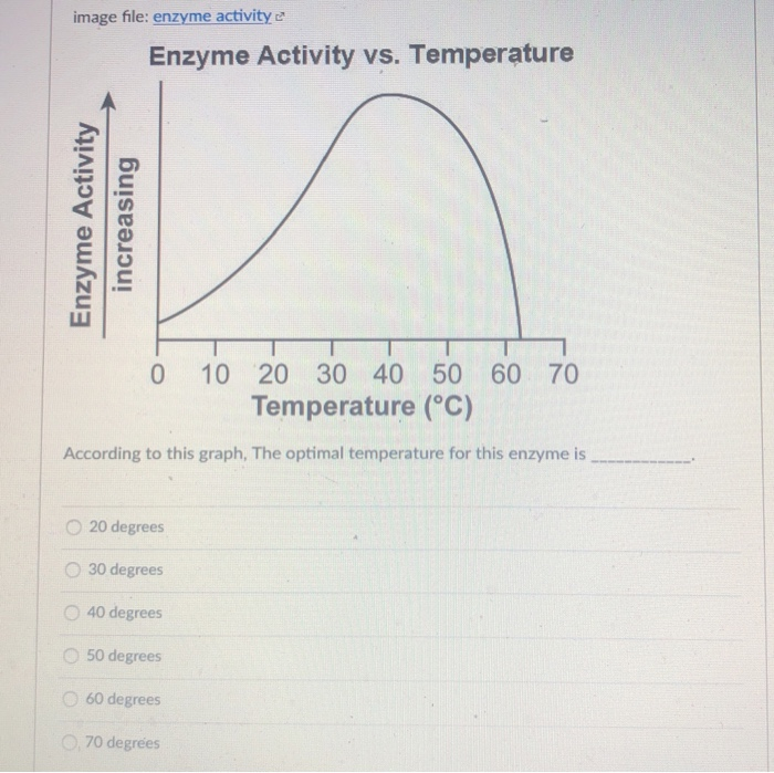Solved image file: ph enzymes B A enzyme activity 1 2 3 4 5 | Chegg.com