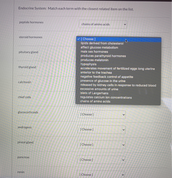 Solved Endocrine System: Match each term with the closest | Chegg.com