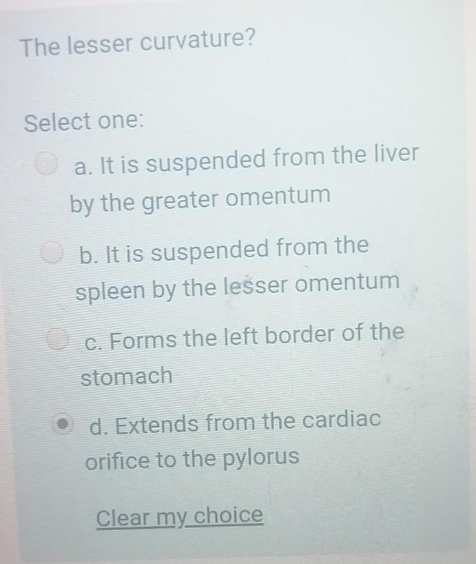 Solved The lesser curvature? Select one: a. It is suspended | Chegg.com