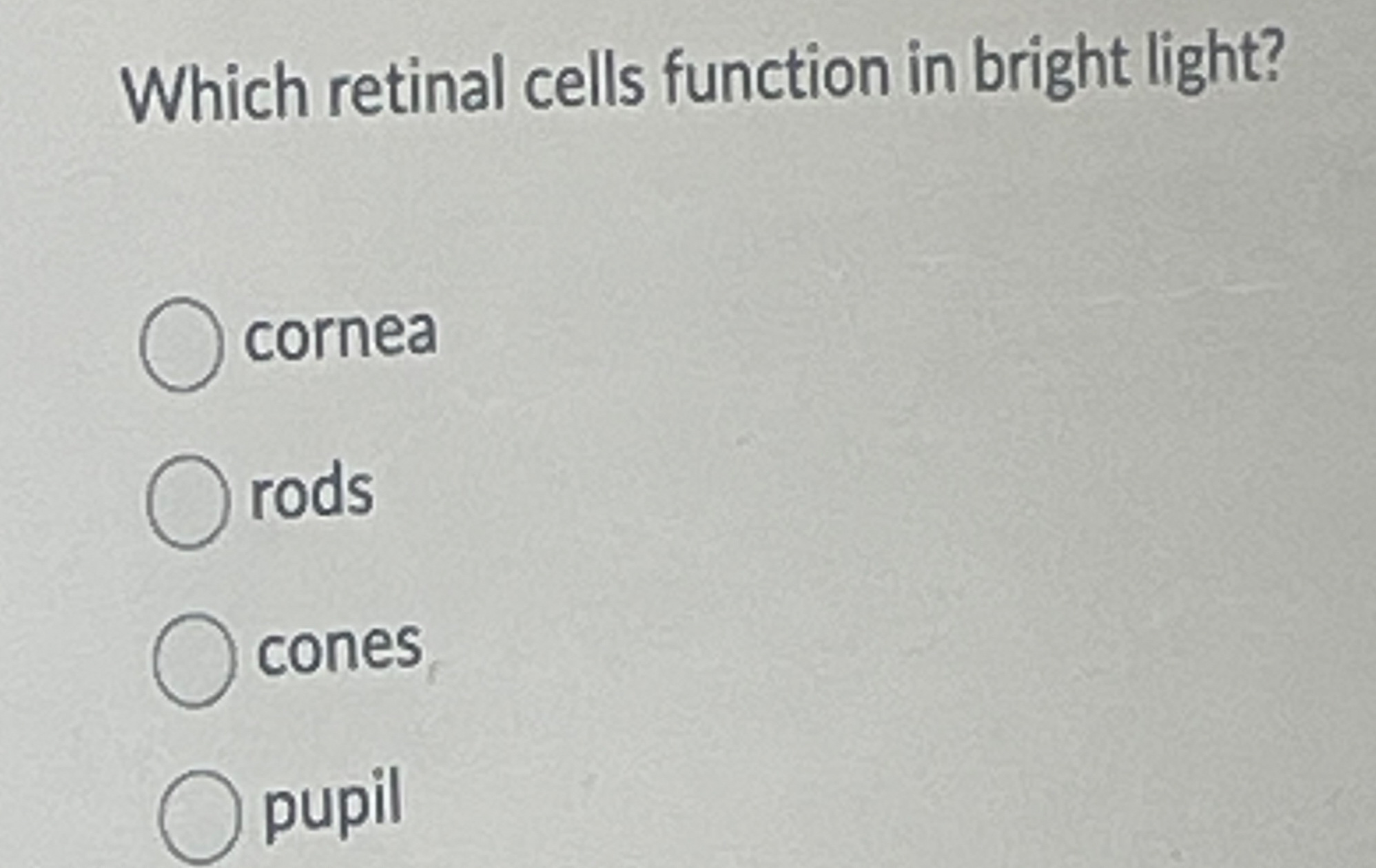 Solved Which retinal cells function in bright | Chegg.com