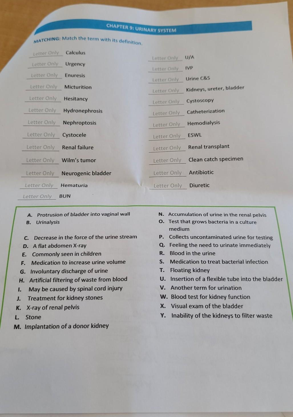 Solved CHAPTER 9: URINARY SYSTEM MATCHING: Match the term | Chegg.com