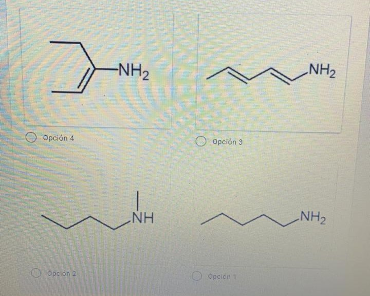 Solved -NH2 NH2 O Opción 4 Opción 3 NH NH2 o Opcion 2 Opcion | Chegg.com