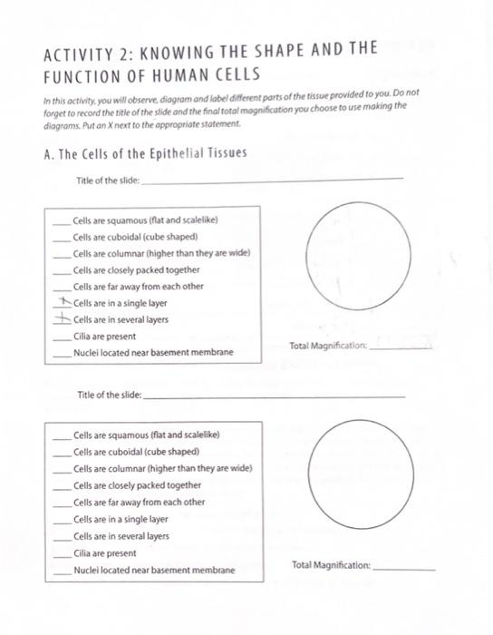 Solved Slide F Magnification 1000X Hint: this is not an | Chegg.com