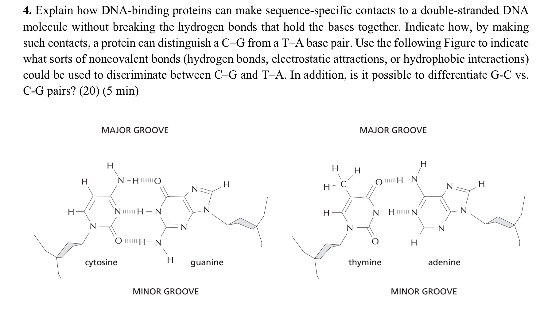 Solved Explain how DNA-binding proteins can make | Chegg.com