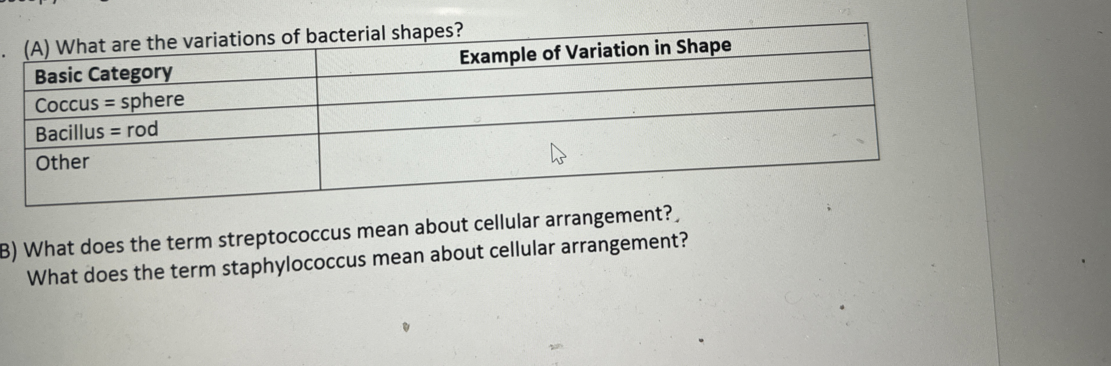 Solved (A) ﻿What are the variations of bacterial | Chegg.com