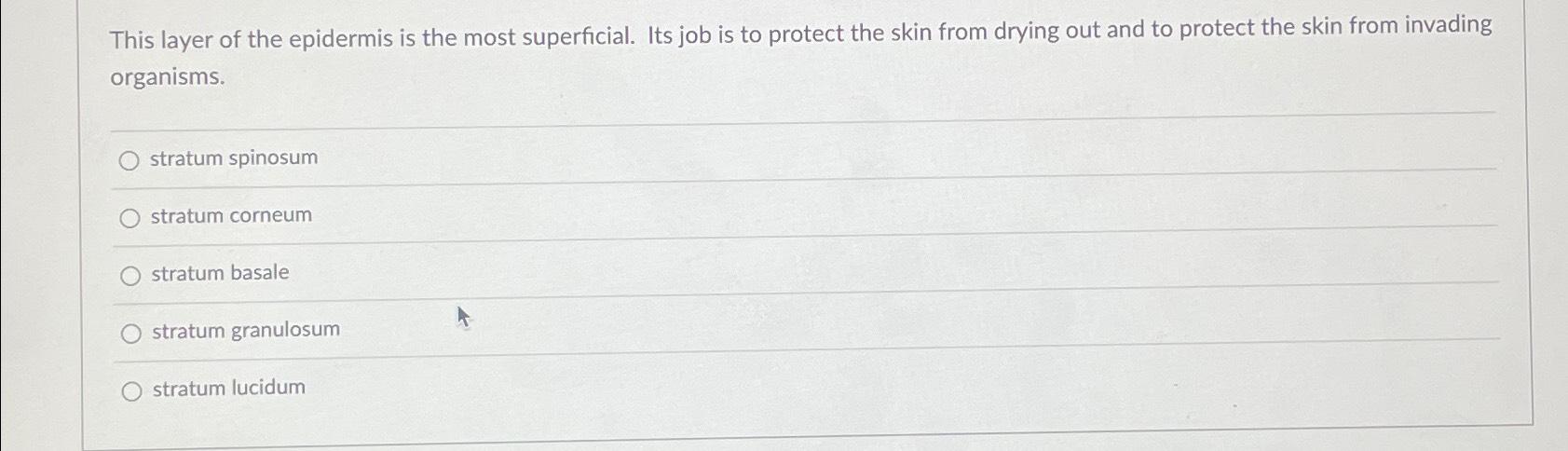 Solved This layer of the epidermis is the most superficial. | Chegg.com