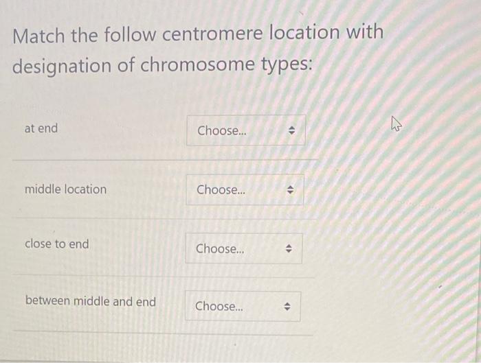 Solved Match the follow centromere location with designation | Chegg.com