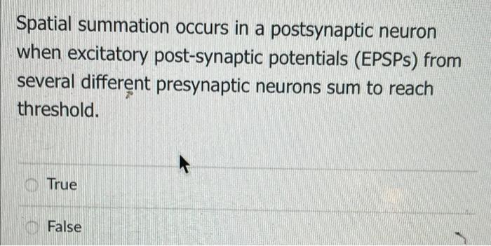 Solved Spatial summation occurs in a postsynaptic neuron | Chegg.com