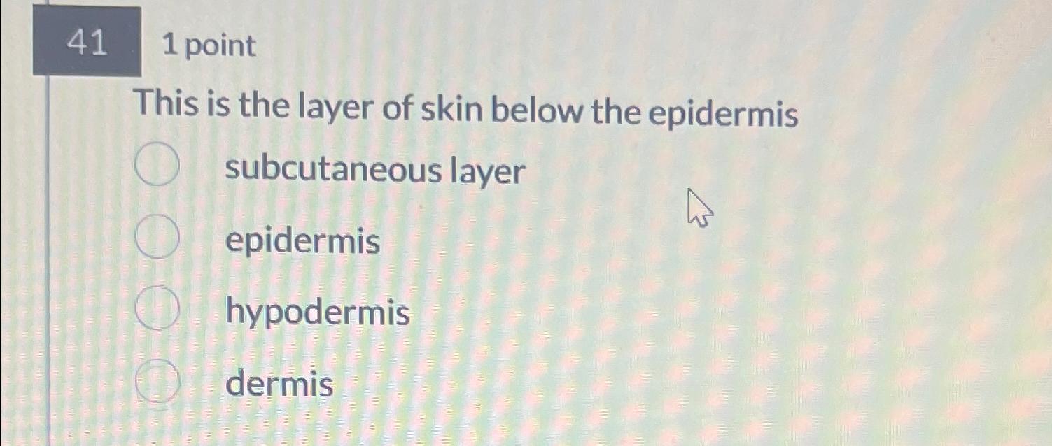 Solved 41,1 ﻿pointThis is the layer of skin below the | Chegg.com