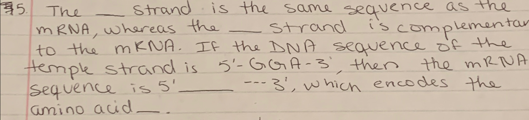 Solved The strand is the same sequence as the mRNA, whereas | Chegg.com