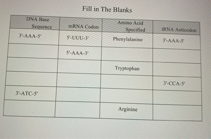 Solved Fill in The Blanks DNA Base Sequence mRNA Codon tRNA | Chegg.com