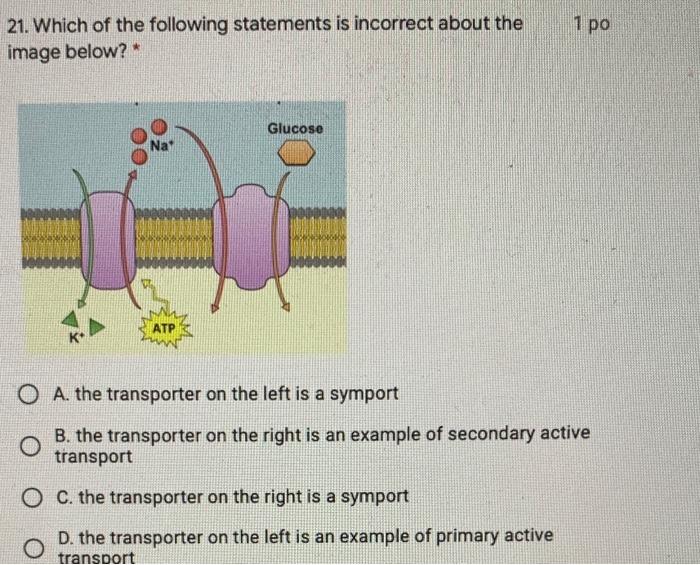 Solved 12. The following graph shows the function of three | Chegg.com