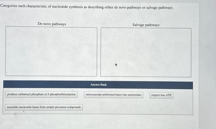 Solved Categorize each characteristic of nucleotide | Chegg.com Solved Categorize each characteristic of nucleotide | Chegg.com