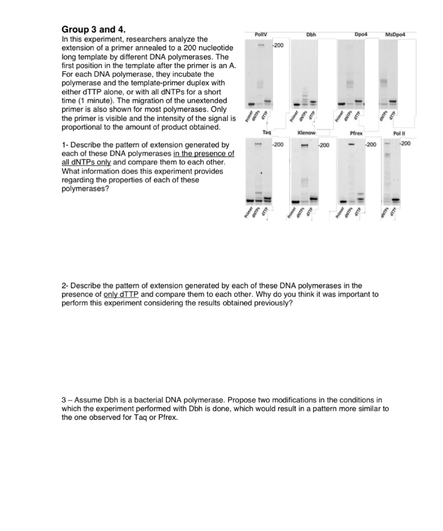 Solved Group 3 ﻿and 4.In this experiment, researchers | Chegg.com