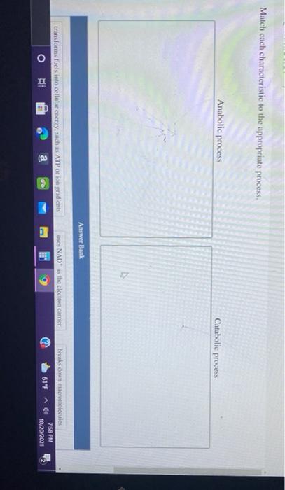 Solved Match each characteristic to the appropriate process | Chegg.com