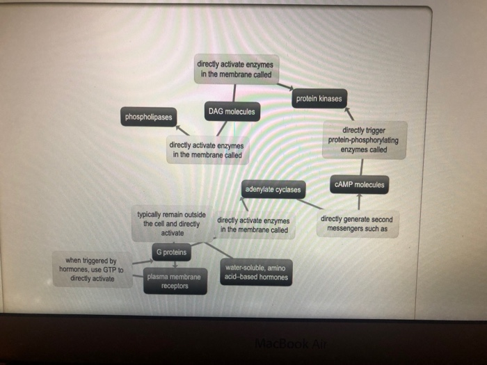 Solved “using no more than 13 propositions create a concept | Chegg.com