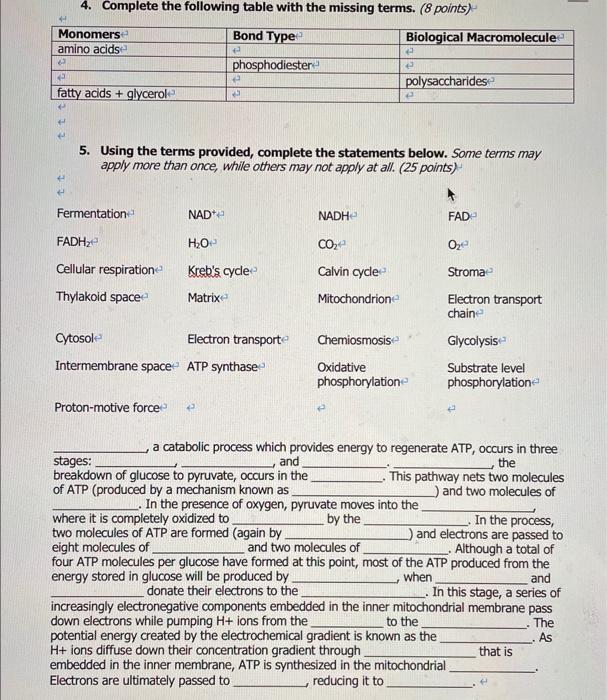 Solved 5. Using the terms provided, complete the statements | Chegg.com
