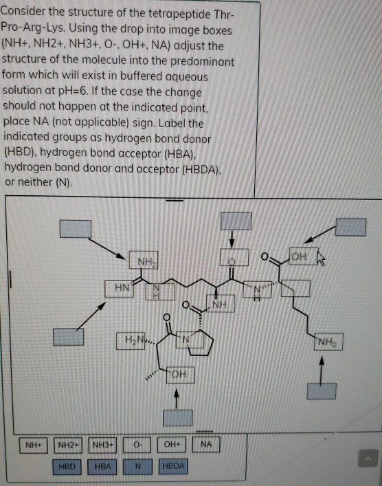 Solved Consider the structure of the tetrapeptide Thr- | Chegg.com