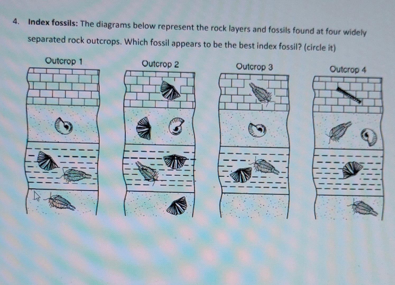 Solved 2. Principle of faunal succession: The rock columns | Chegg.com