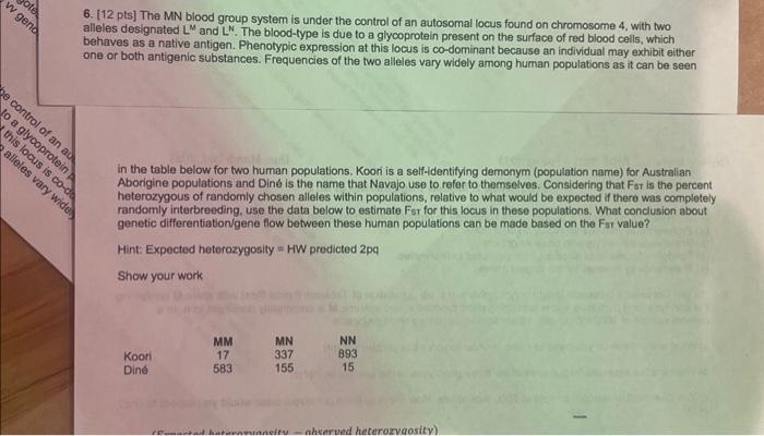 Solved 6. [12 pts] The MN blood group system is under the | Chegg.com