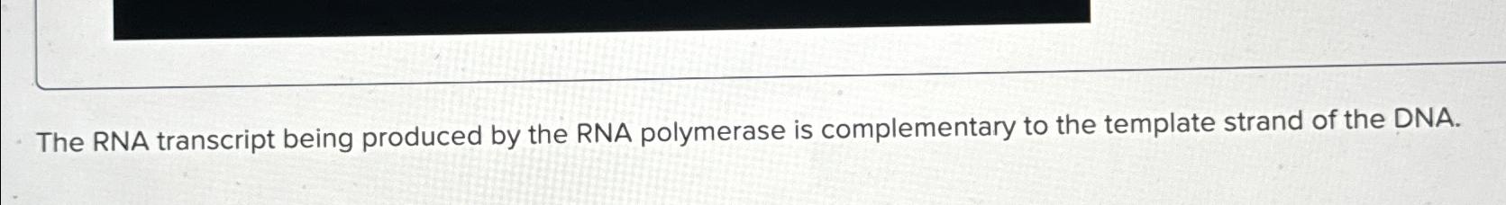 Solved The RNA transcript being produced by the RNA | Chegg.com