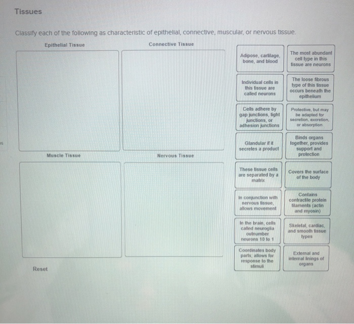 Solved classify each of the following as characteristics of | Chegg.com