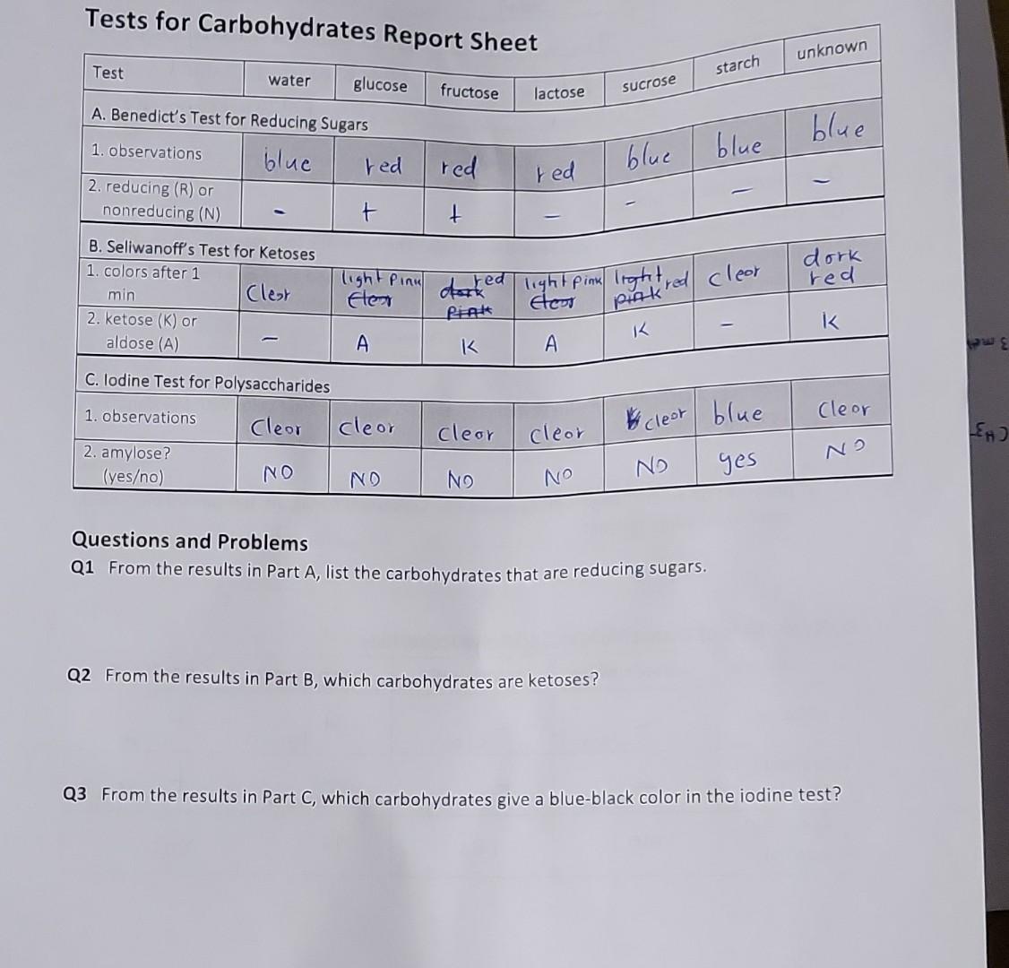 Solved Tests for Carbohydrates Report Sheet Questions and | Chegg.com