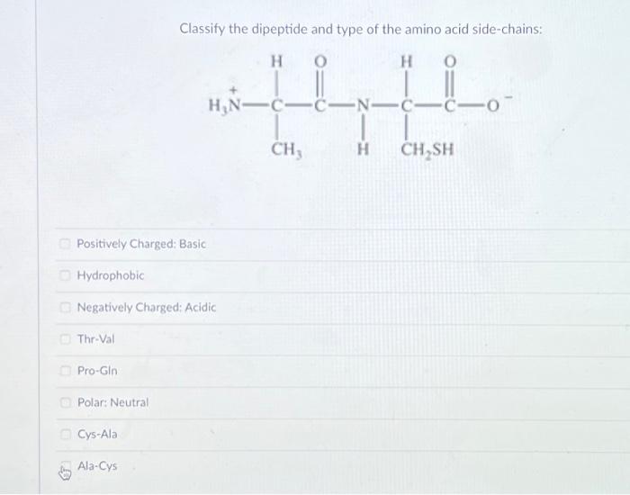 Solved Classify the dipeptide and type of the amino acid | Chegg.com