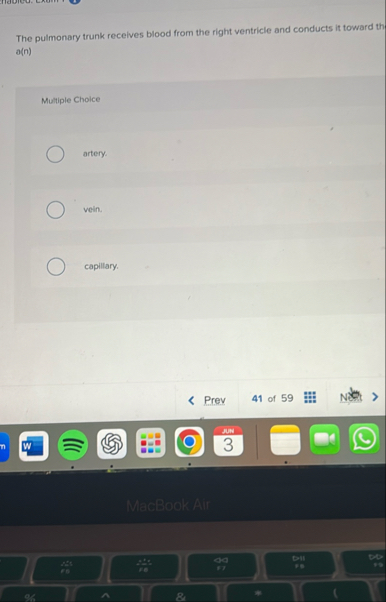 Solved The pulmonary trunk receives blood from the right | Chegg.com