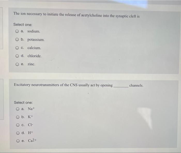 Solved What is the oldest and most primitive region of the | Chegg.com