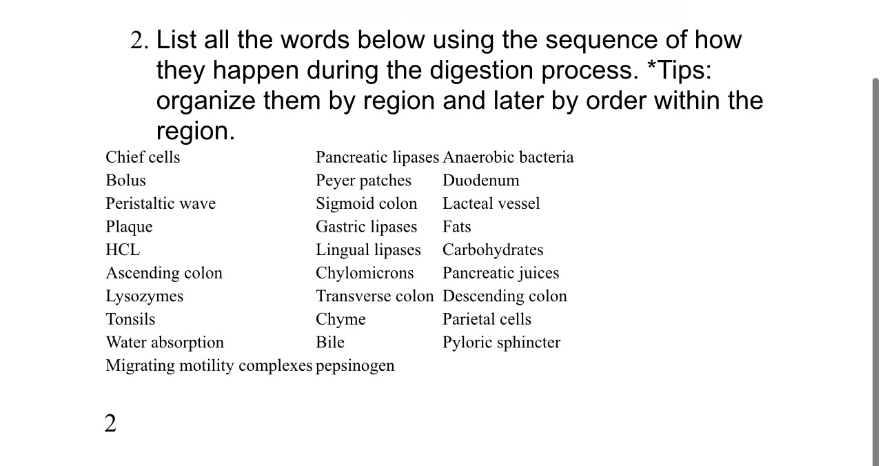 Solved List all the words below using the sequence of how | Chegg.com