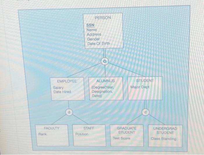 Solved Examine the hierarchy for tile university EER diagram | Chegg.com