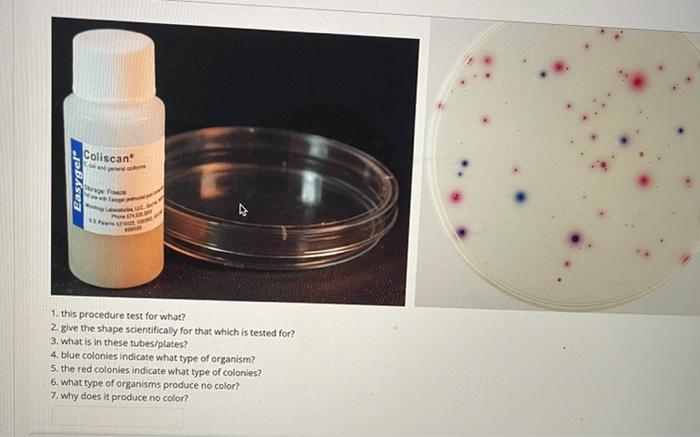 Solved Coliscan PBASEA 1. this procedure test for what? 2. | Chegg.com