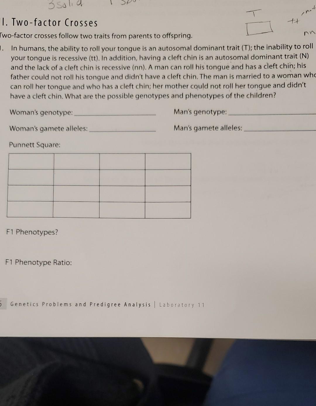 Solved 3 Solid nn 11. Two-factor Crosses tt Two-factor | Chegg.com