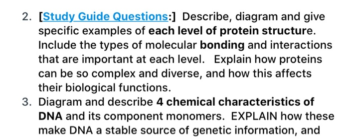 Solved 2. (Study Guide Questions:] Describe, diagram and | Chegg.com