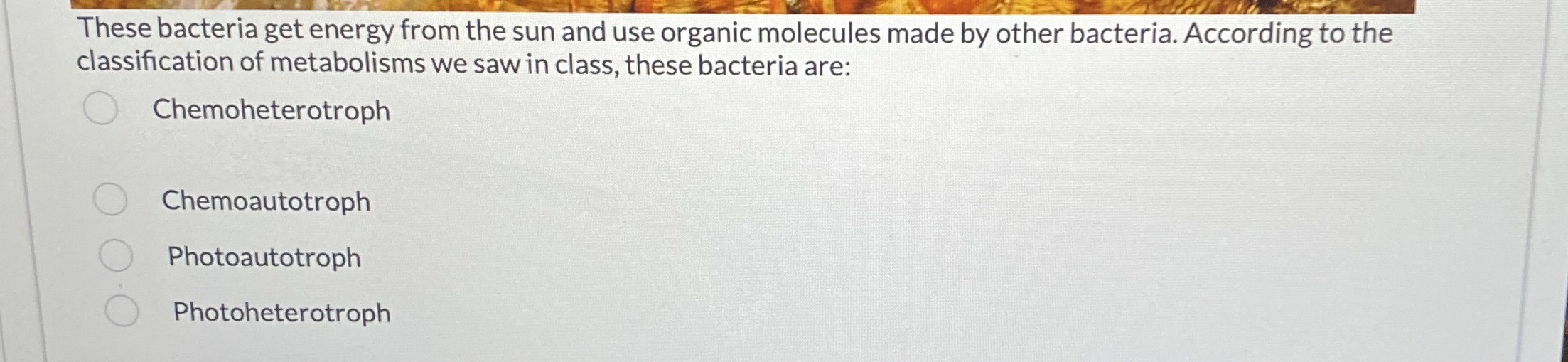 Solved These bacteria get energy from the sun and use | Chegg.com