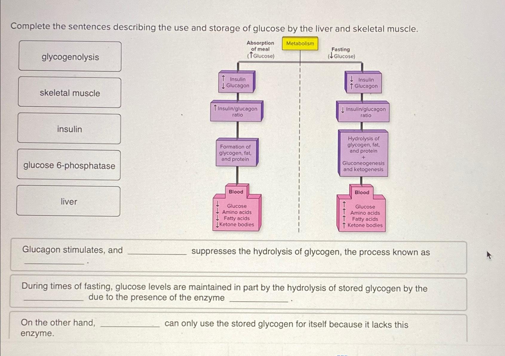 Solved Complete the sentences describing the use and storage | Chegg.com