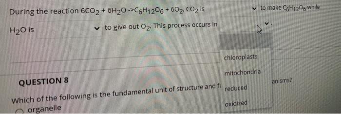 Solved During the reaction 6CO2 + 6H20 ->C6H12O6 +602. CO2 | Chegg.com