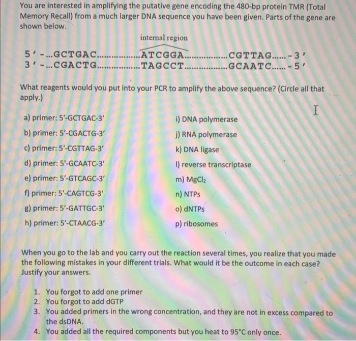 Solved You are interested in amplifying the putative gene | Chegg.com